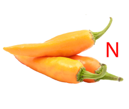 No-Pain and Have-Pain Foods: List and advice from Supreme Master Ching ...